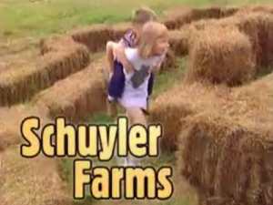 Kathryn DiPippo | Portfolio and Resume